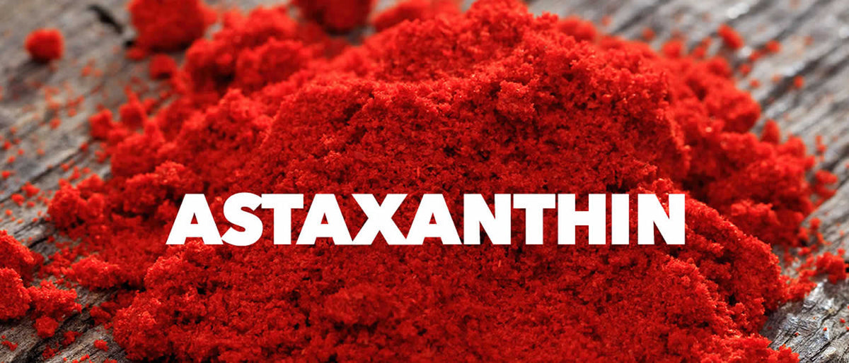 9 Evidence Based Benefits of Astaxanthin | Biosphere Nutrition